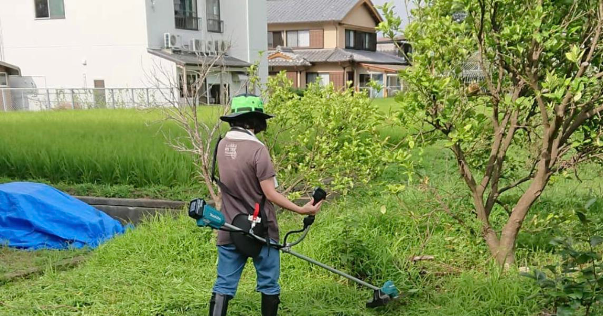 駐車場の雑草対策ガイド｜効果的な手法を5つ解説 | kusakaroo｜くさかるー