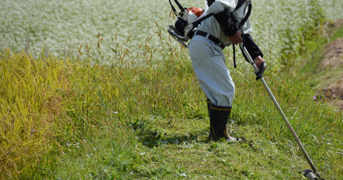 【安心できる草刈り業者】おすすめの優良業者だけを5社紹介 | kusakaroo｜くさかるー