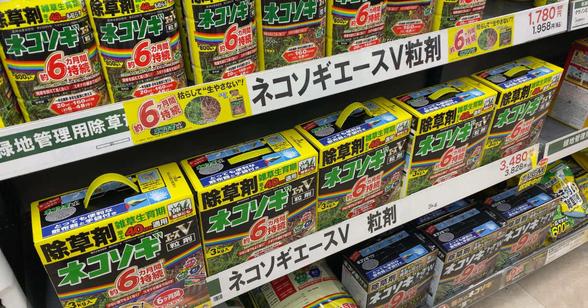 駐車場の雑草対策ガイド｜効果的な手法を5つ解説 | kusakaroo｜くさかるー