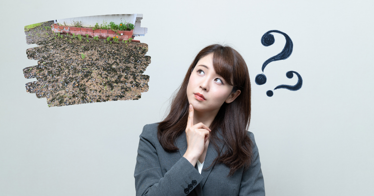 なぜ増える？黒いブヨブヨした庭のイシクラゲを駆除する方法 | kusakaroo｜くさかるー